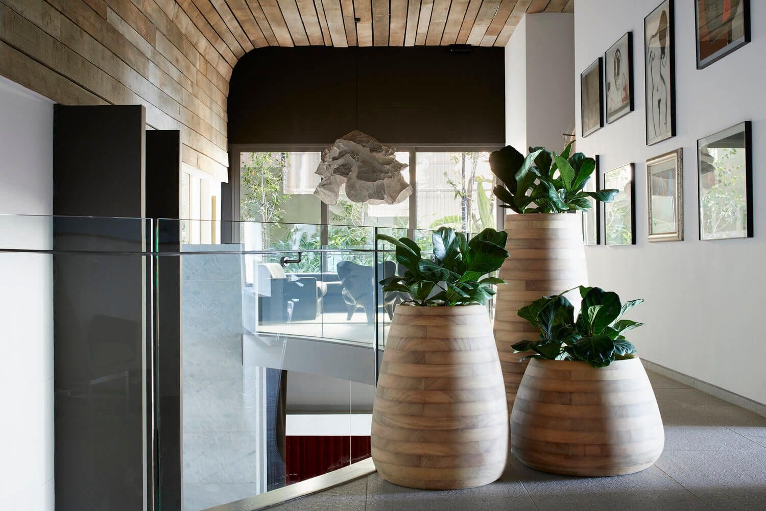 Indigenus Tuber Planters | Clima Home